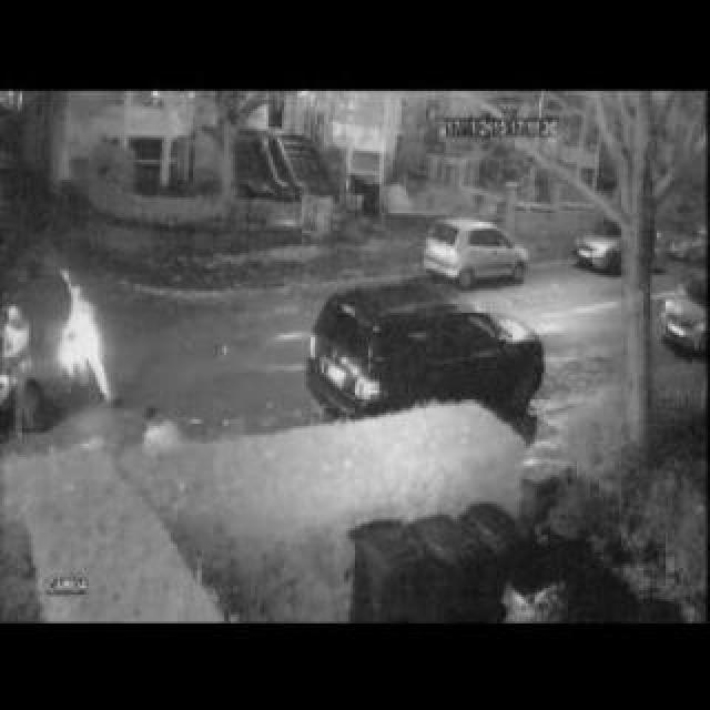 fight Object Detection Dataset by BBC