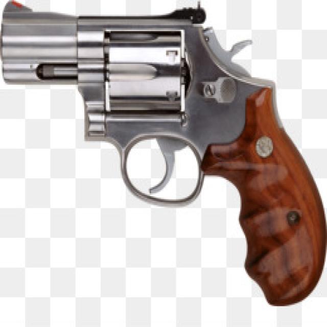 guns Object Detection Dataset by new dataset