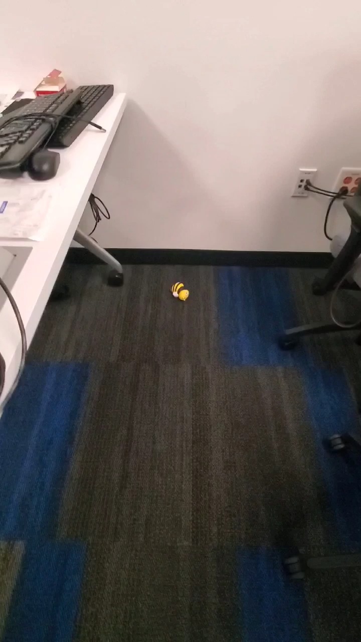 Buzz Object Detection Model by Xavier Genio