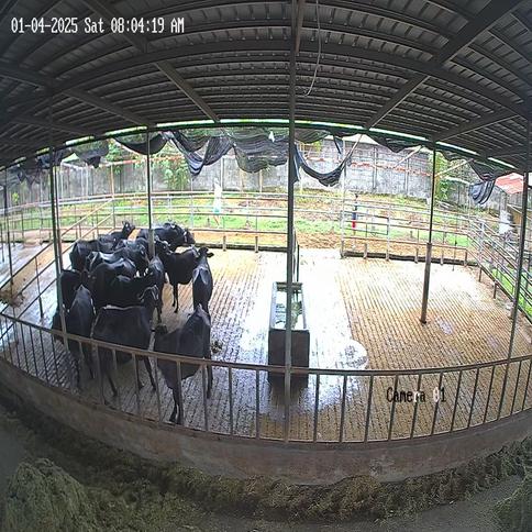 sher (sher-pxarz) - Roboflow Universe