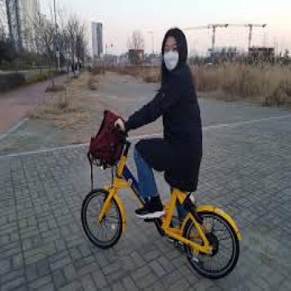 Bike Object Detection Dataset by han