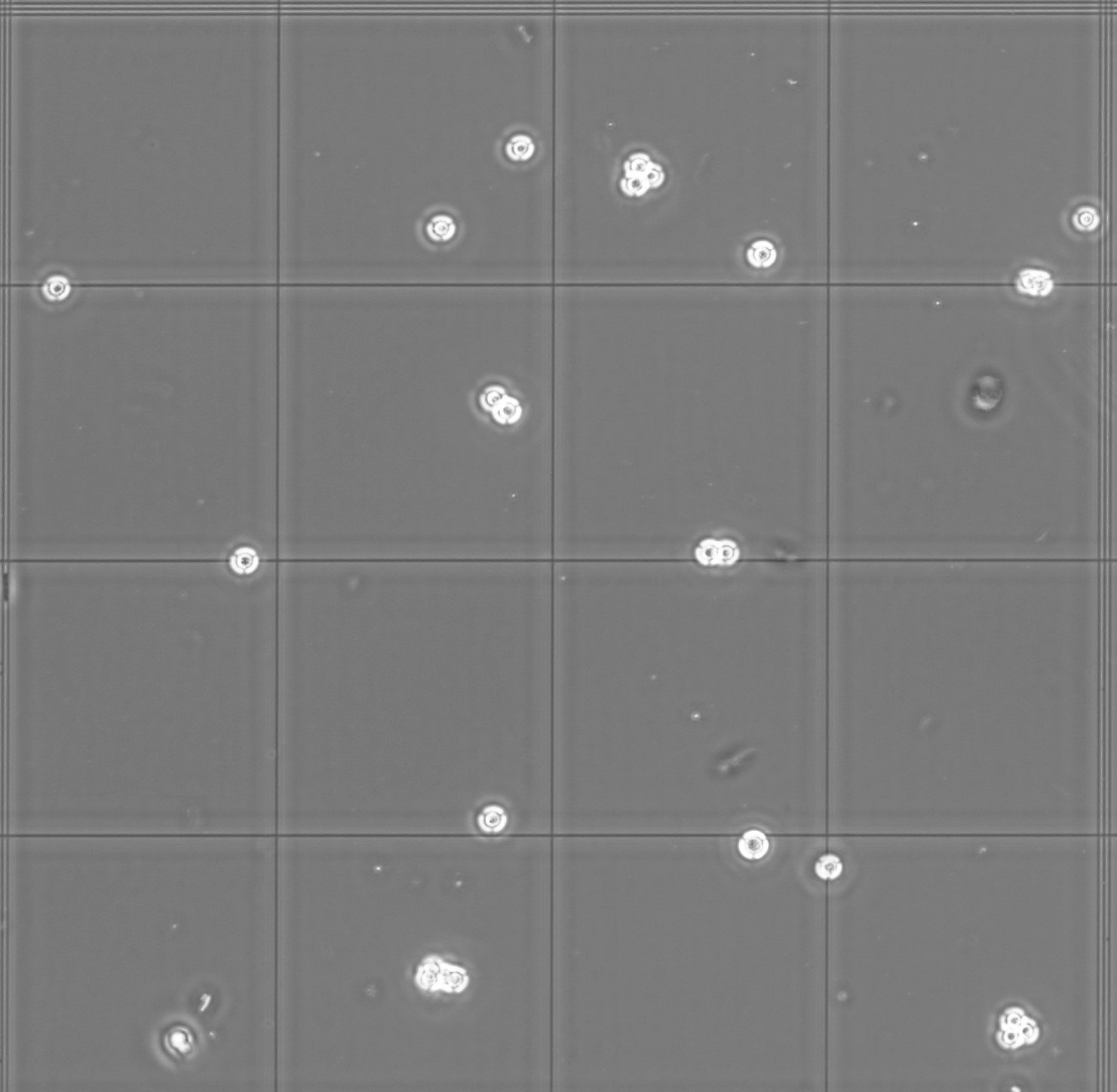 school (school-edtce) - Roboflow Universe