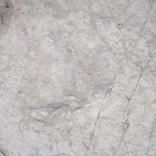 YOLO-seg Instance Segmentation Dataset by yolostudy