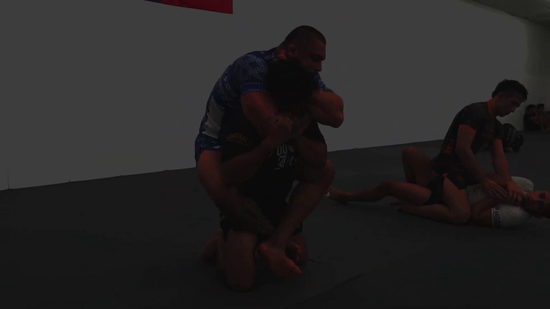 blur human Instance Segmentation Dataset and Pre-Trained Model by cv 1