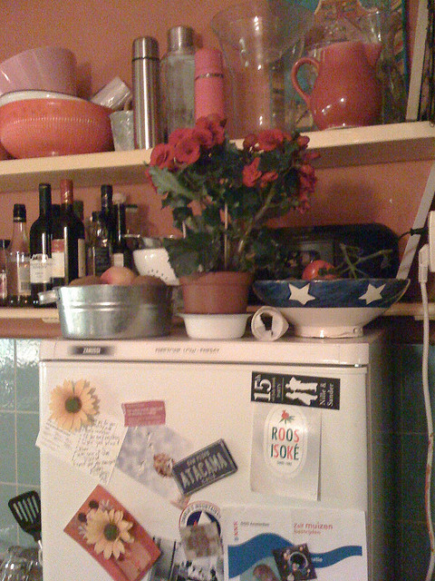 Refrigerator Object Detection Dataset by DUO