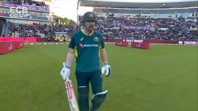 Cricket Dataset Object Detection Dataset And Pre Trained Model By Cricketdataset