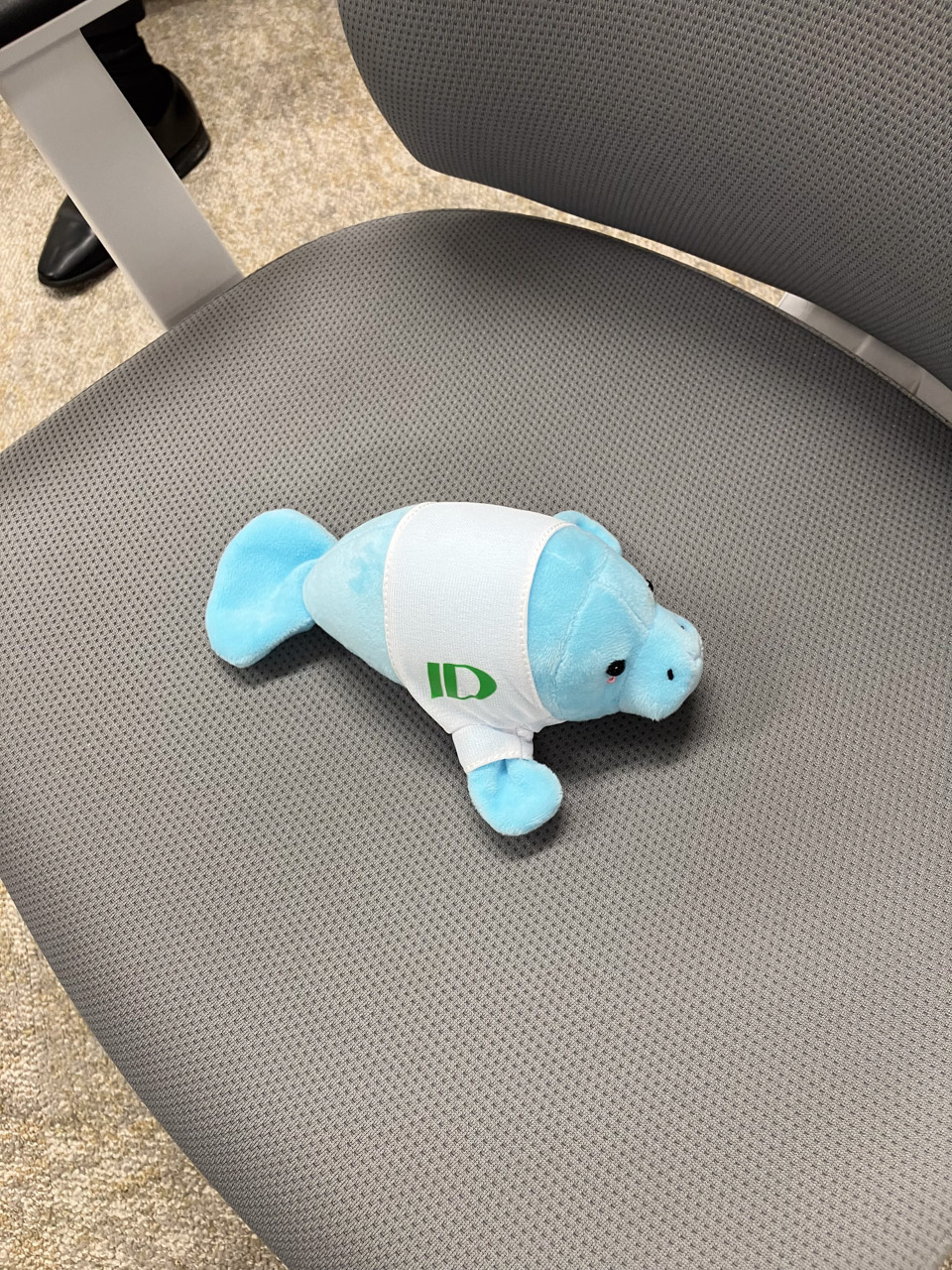 manachan_kenchi Object Detection Model by 1 day intern