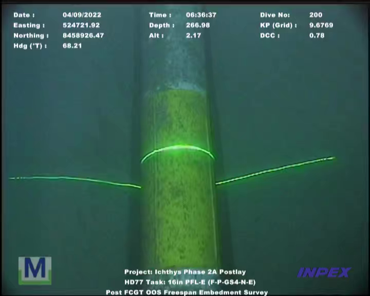 cd_pipelines Instance Segmentation Model by subseapipelines