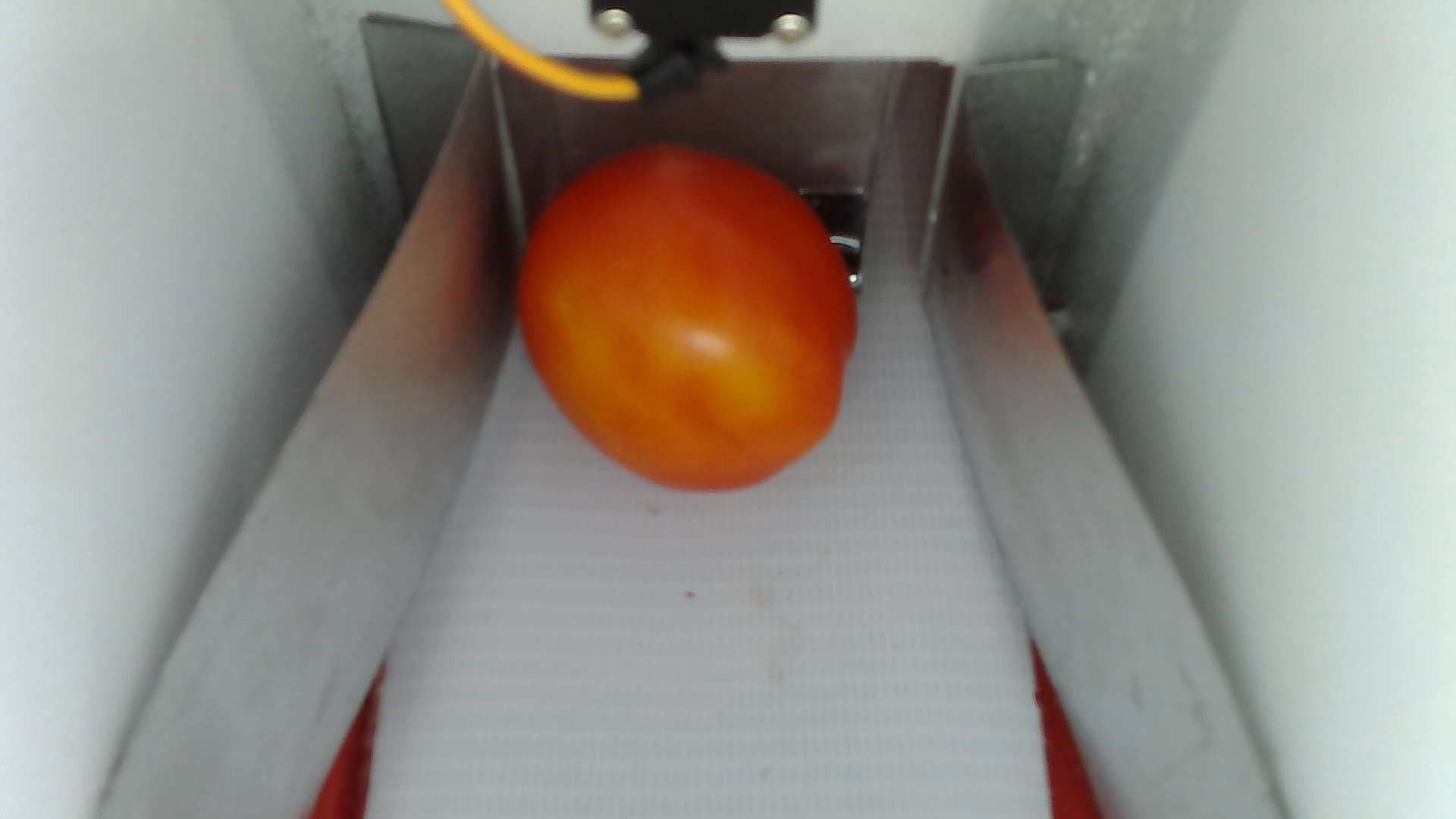 Tomato_Project_2 Object Detection Model by TomatoTeam