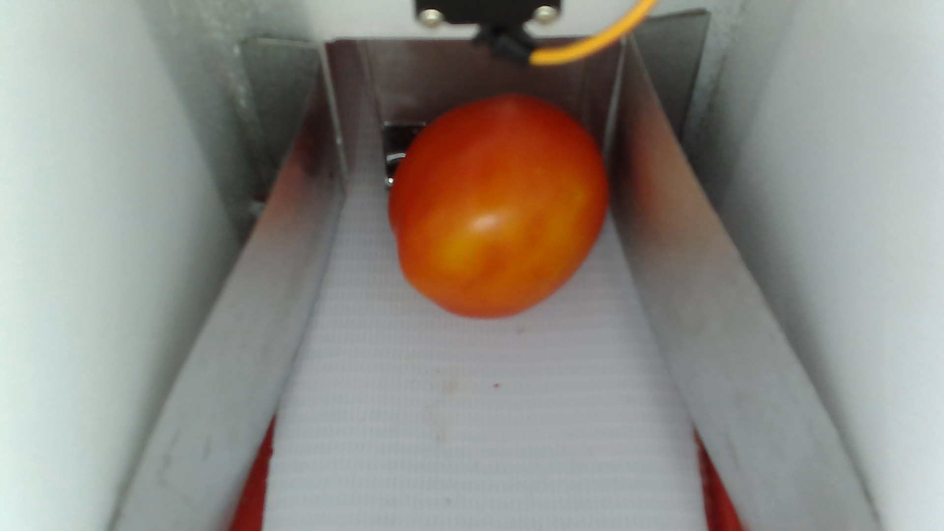 Tomato Project Object Detection Dataset And Pre Trained Model By Tomatoteam