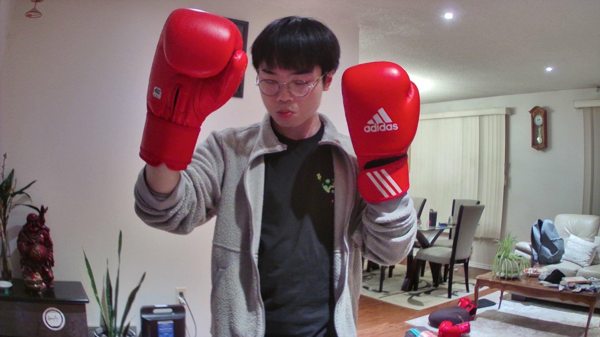 boxing_3 Object Detection Dataset by roboboxer3