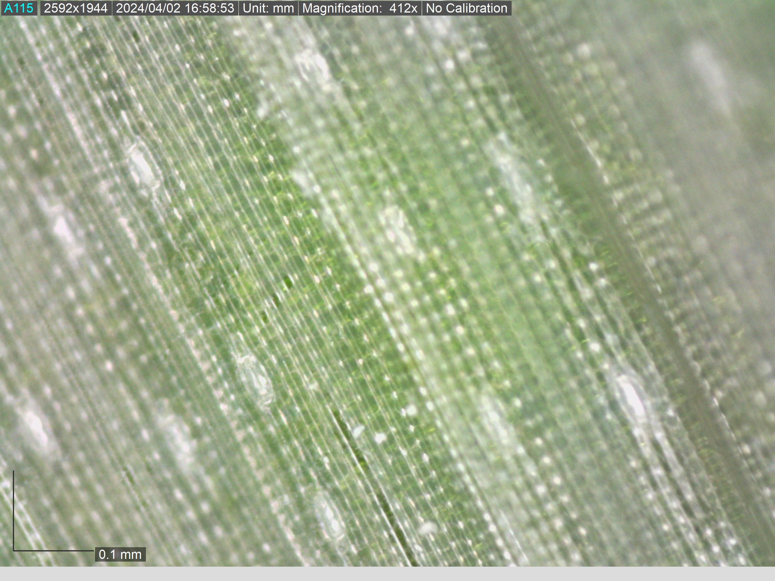 Nishanth B M - Roboflow Universe