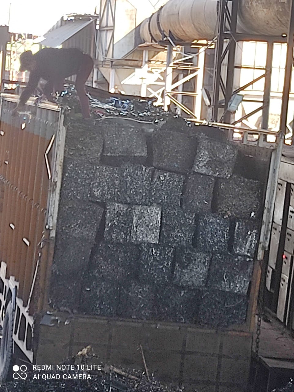 capstone59 Classification Dataset and Pre-Trained Model by capstone