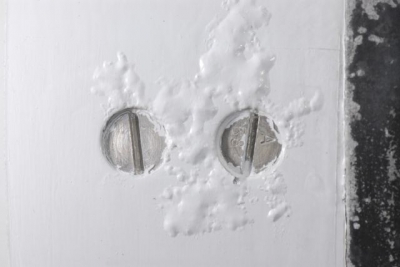 Bubbling Rust Detection Instance Segmentation Dataset by Rust Detection