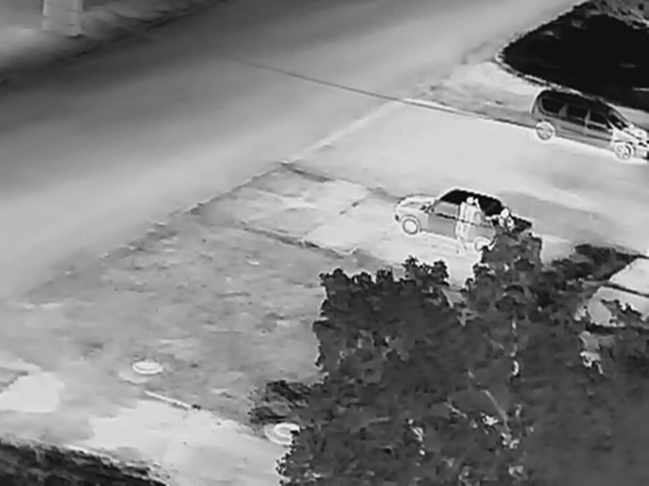 Ivan Pidhaietskyi - Roboflow Universe