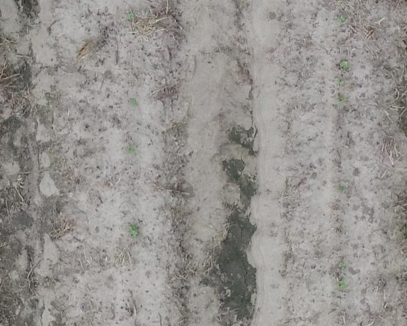 111 Object Detection Dataset by missouri