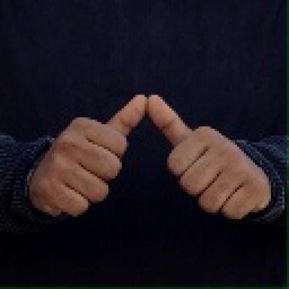 gesture Object Detection Dataset by Auly