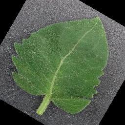 leaf_detect Object Detection Dataset by SREC