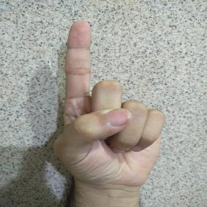 finger Object Detection Dataset by yolov5