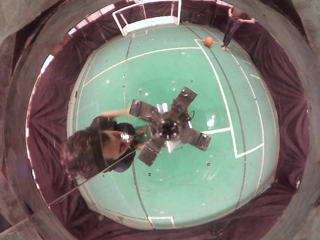 Bola Object Detection Model By Bola