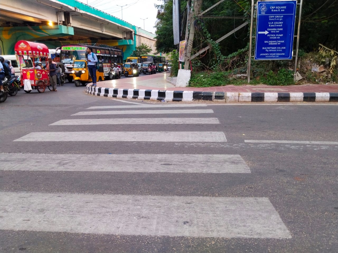 Bhabani - Roboflow Universe