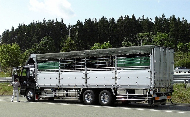 demo (demo-5hmct) - Roboflow Universe