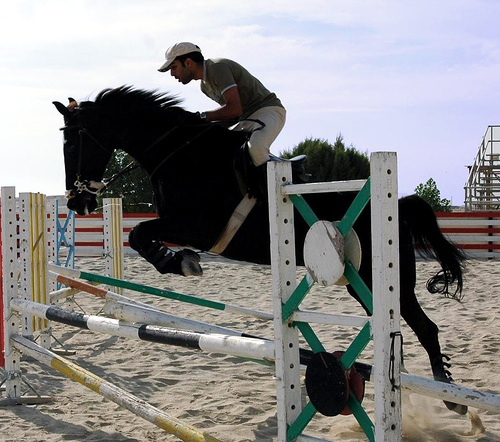 human & human like Object Detection Model by yolov8