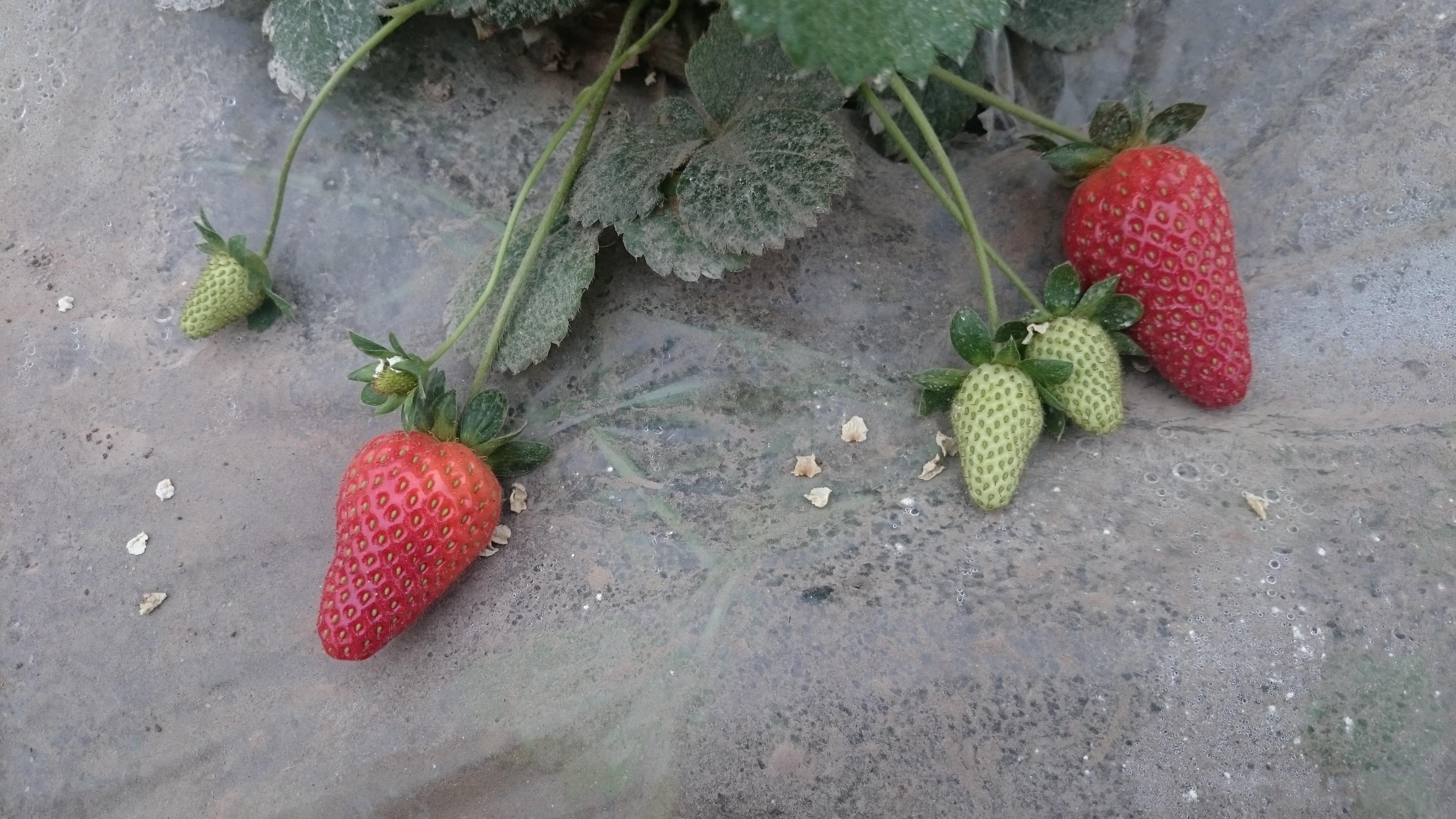 image processing (image-processing-shjyn) - Roboflow Universe