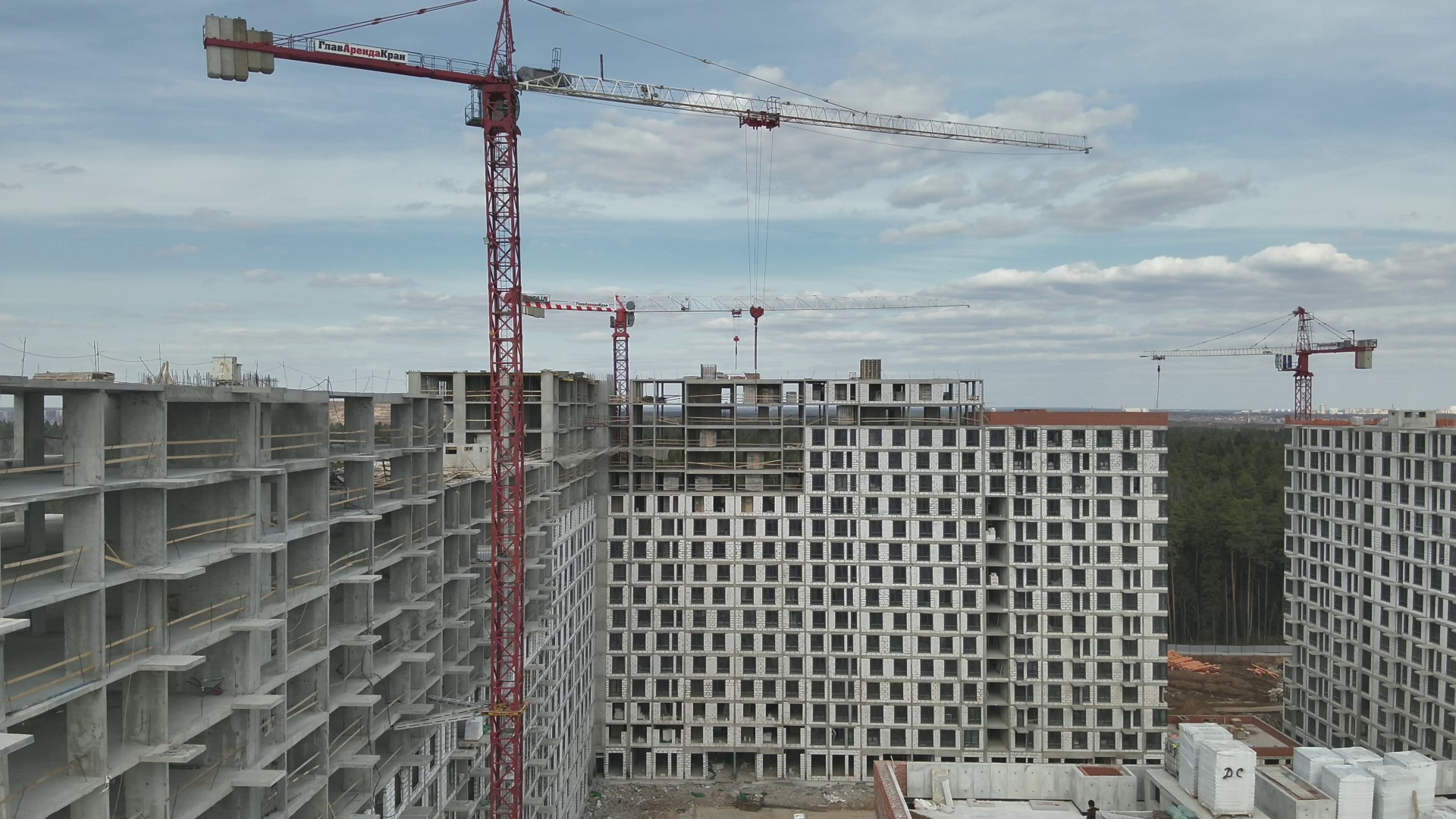 Orig-BF Instance Segmentation Dataset by ML Build