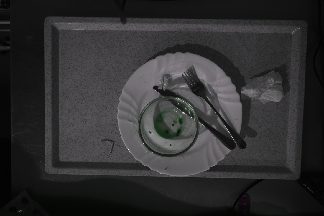 Yolov8 Instance Segmentation Dataset And Pre Trained Model By Diplomathesis