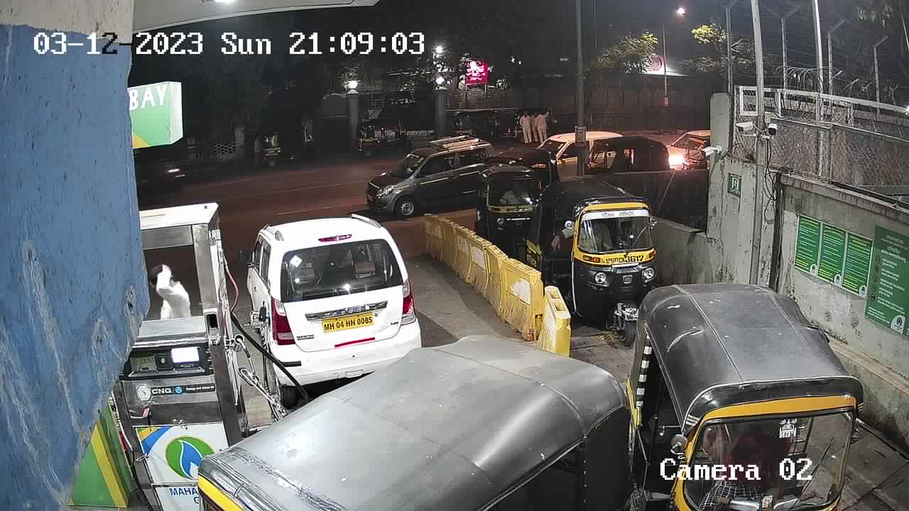 auto alpr Object Detection Dataset by myworkspace