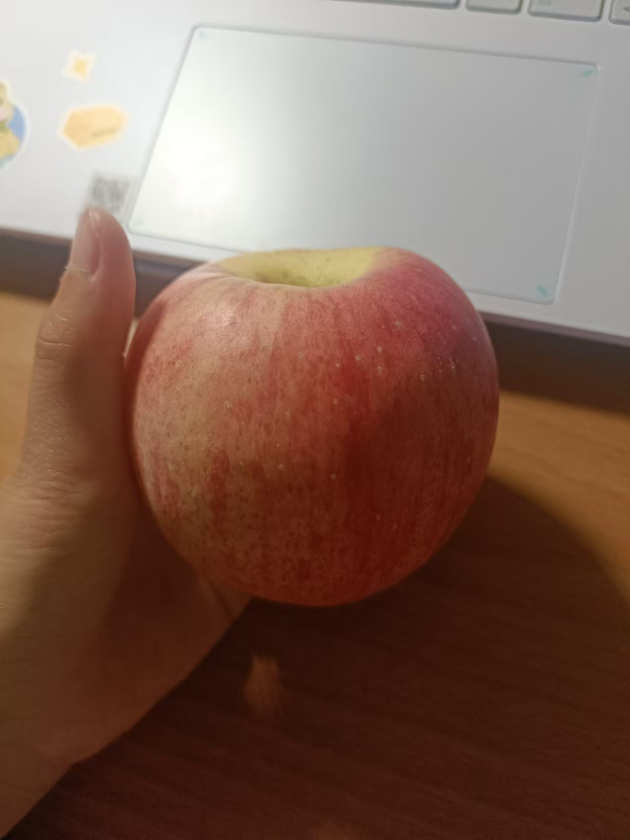 apple Object Detection Model by buzhidao