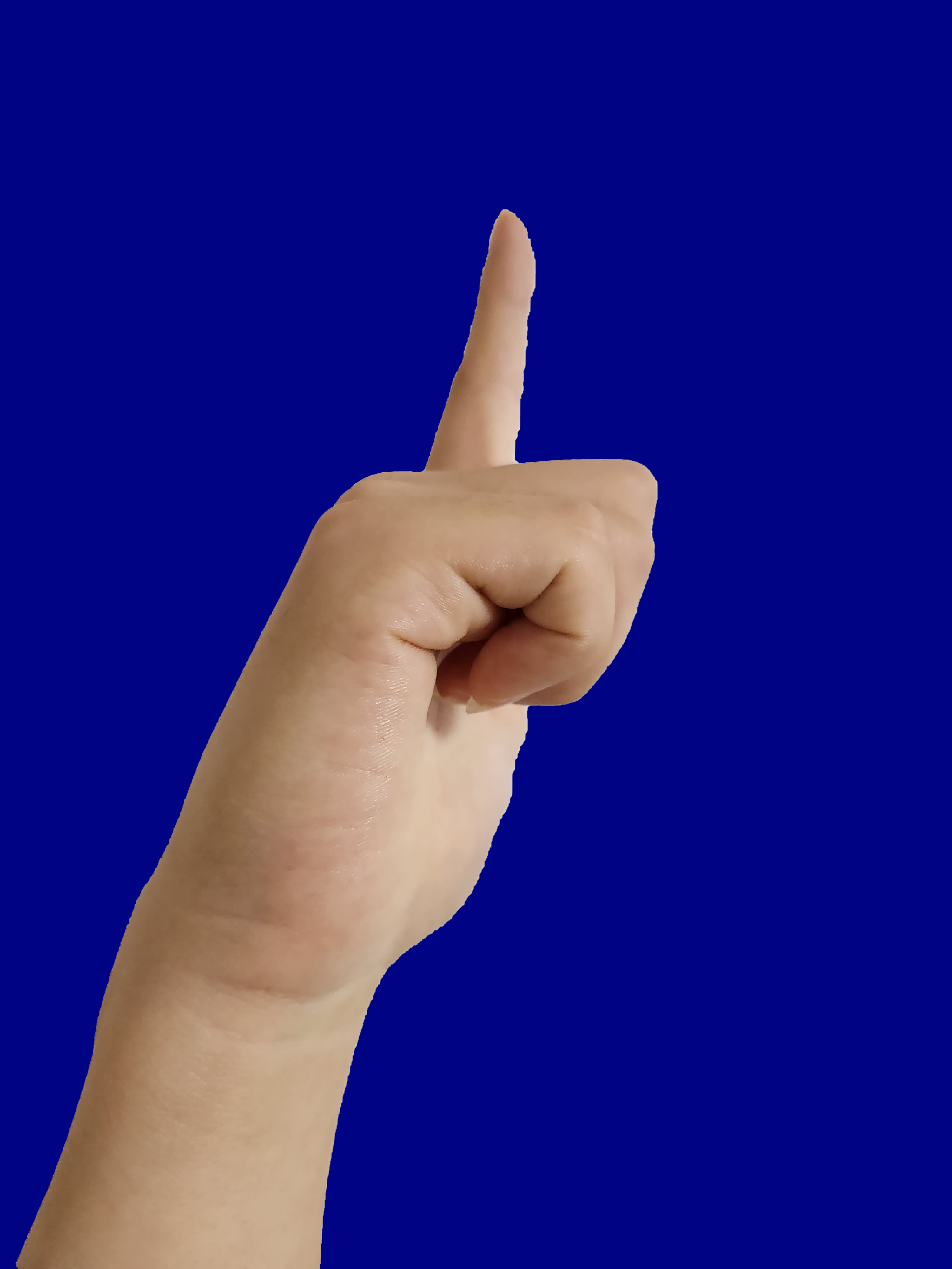 asl2 Object Detection Dataset by project-7ybkv