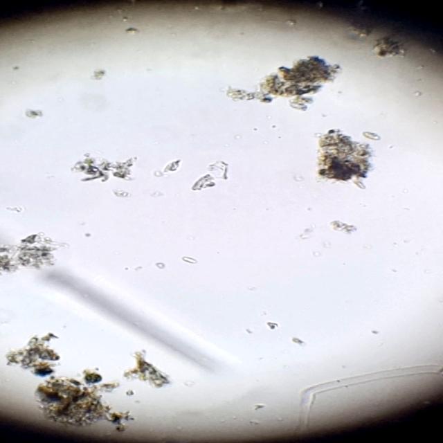 Contrast Stretching Object Detection Dataset and Pre-Trained Model by ...