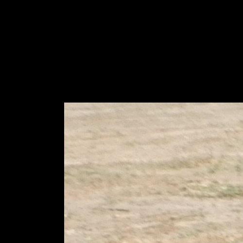 Cotton Detection Object Detection Dataset And Pre Trained Model By