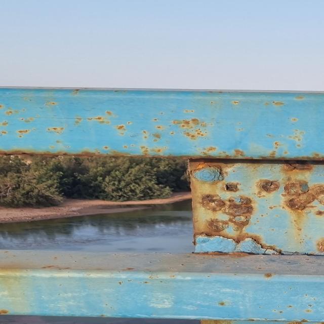 rust-data Instance Segmentation Model by Hossam Elghati