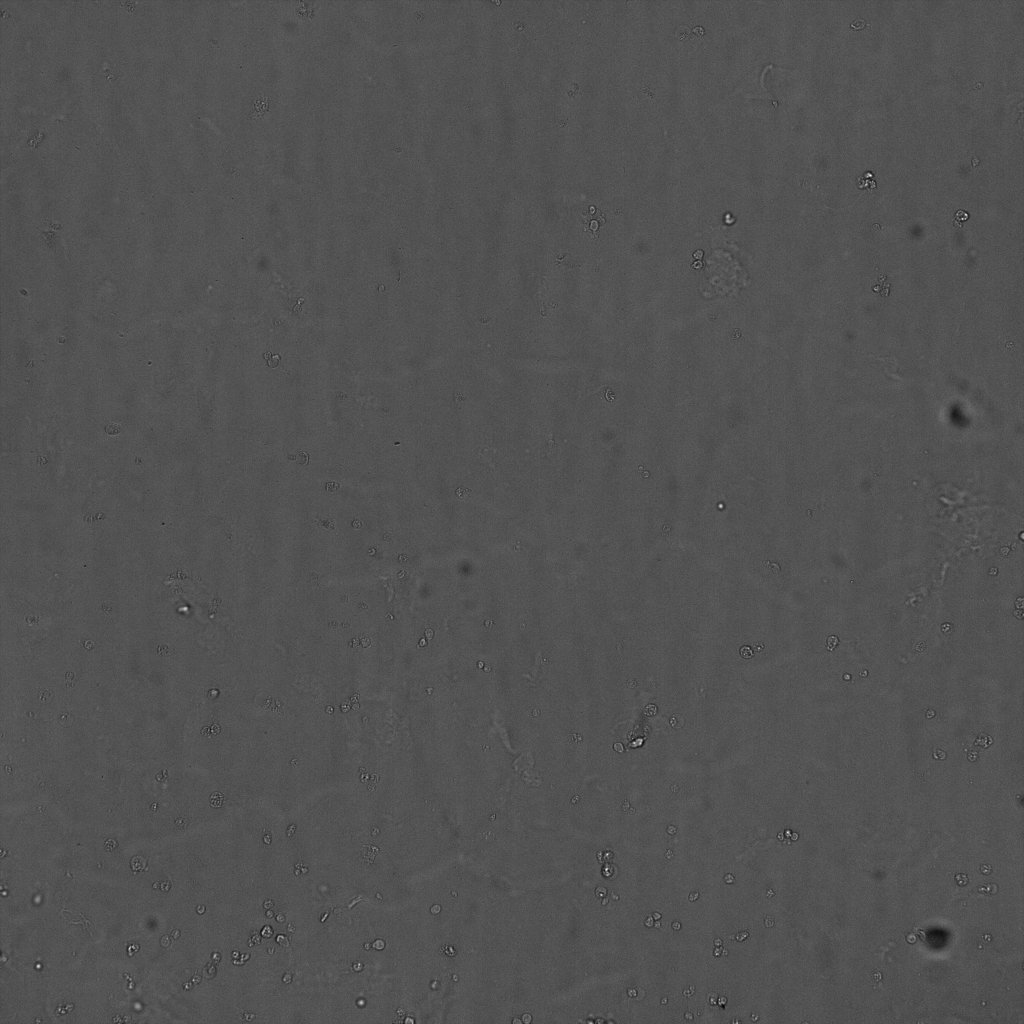 ETHZ (ethz-gac13) - Roboflow Universe