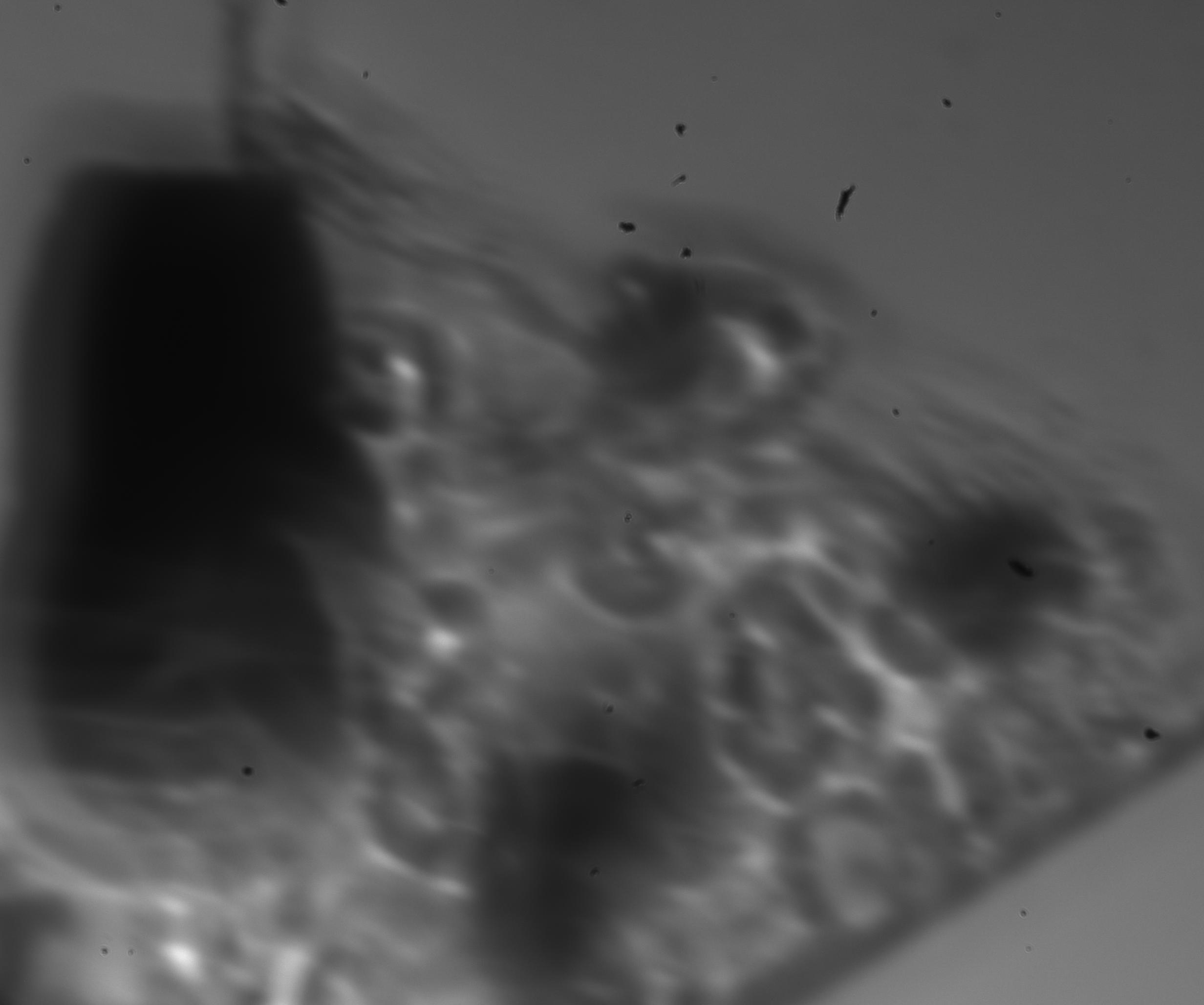 microplastics Object Detection Model by projects