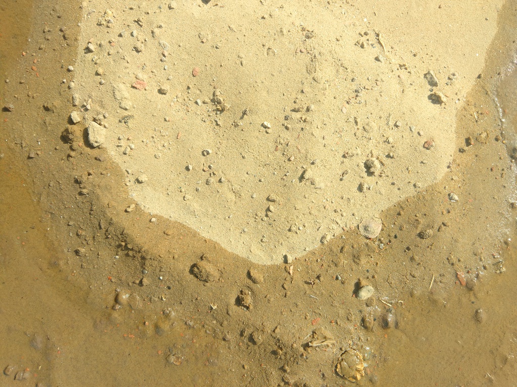 How to Use the soil3 Classification API