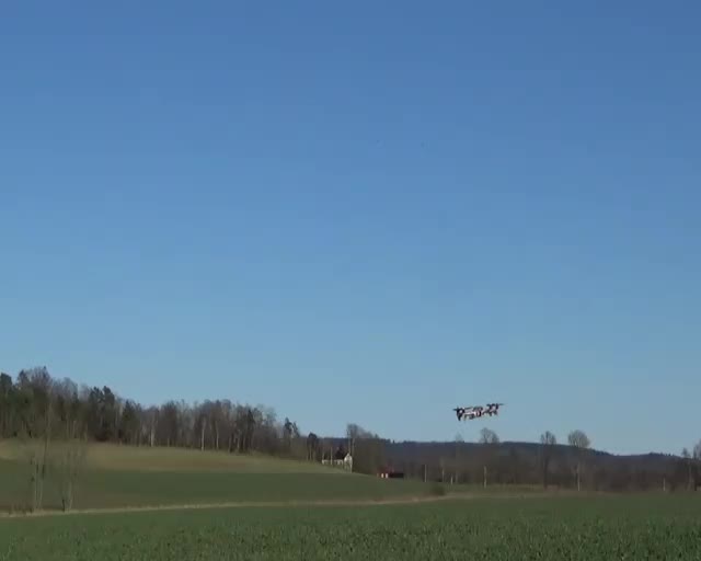 drone_vs_birds Object Detection Dataset by Thanos Petsas