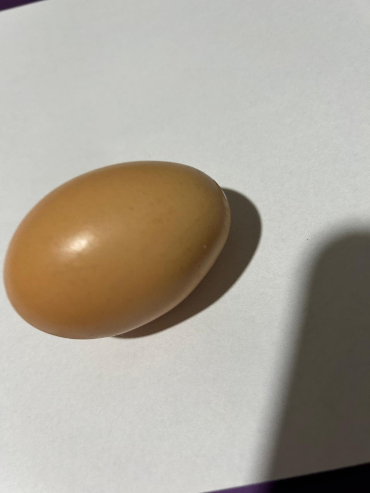 ou Object Detection Dataset by andreea