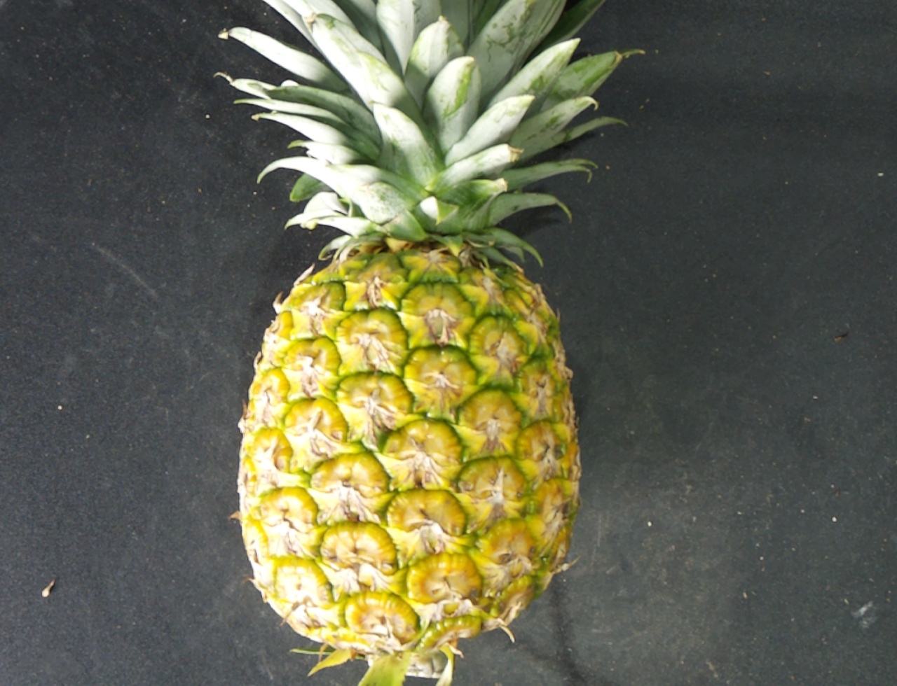 Pineapple Maturity Index Object Detection Dataset By Uthm Cao