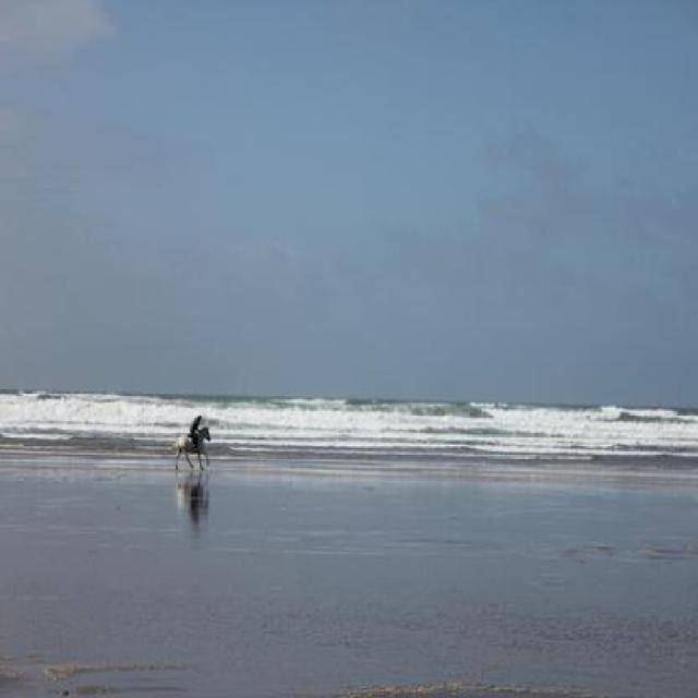 Shoplifting Detection Object Detection Dataset By Shoplifitng Detection