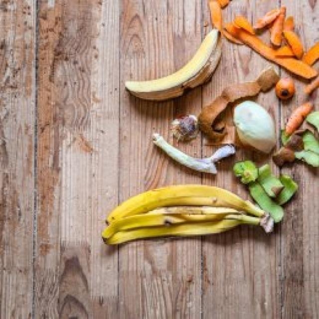 TrashDetectionOG Instance Segmentation Dataset by Projects