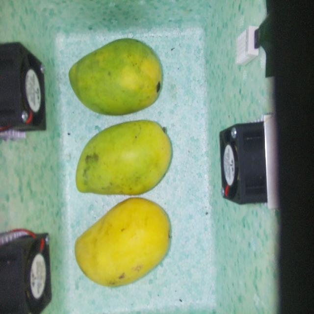 Fruit Detection PD Object Detection Dataset by tomato