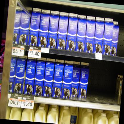 How to Use the ProjectDB Object Detection API