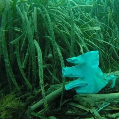 Underwater Trash Detection Object Detection Dataset by test