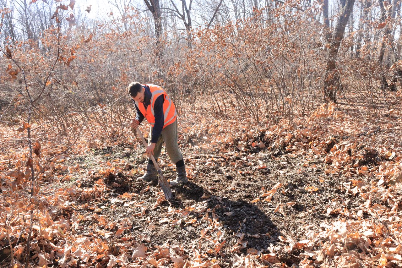 class:06-operationmoment | Roboflow Universe Search