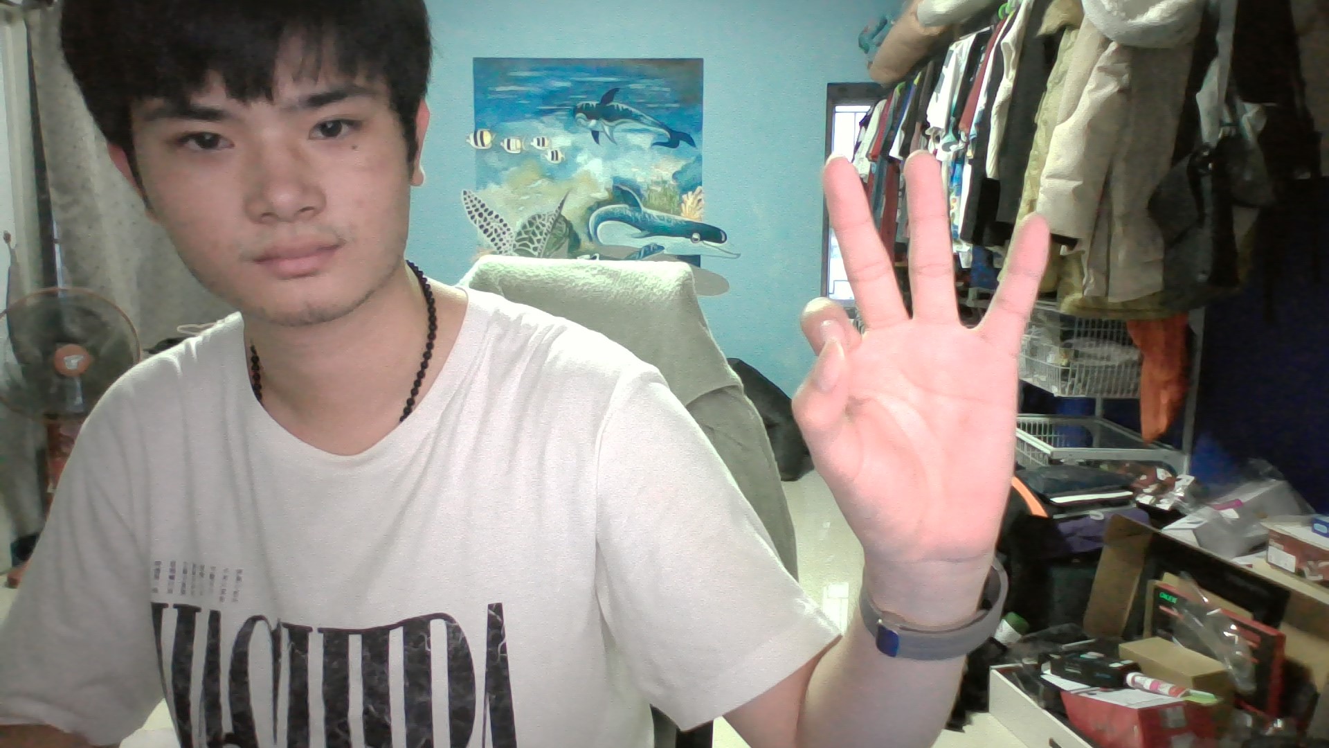 hand project Object Detection Dataset by robot lab