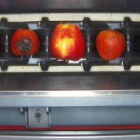 Sem Break (sem-break-pmsik) - Roboflow Universe